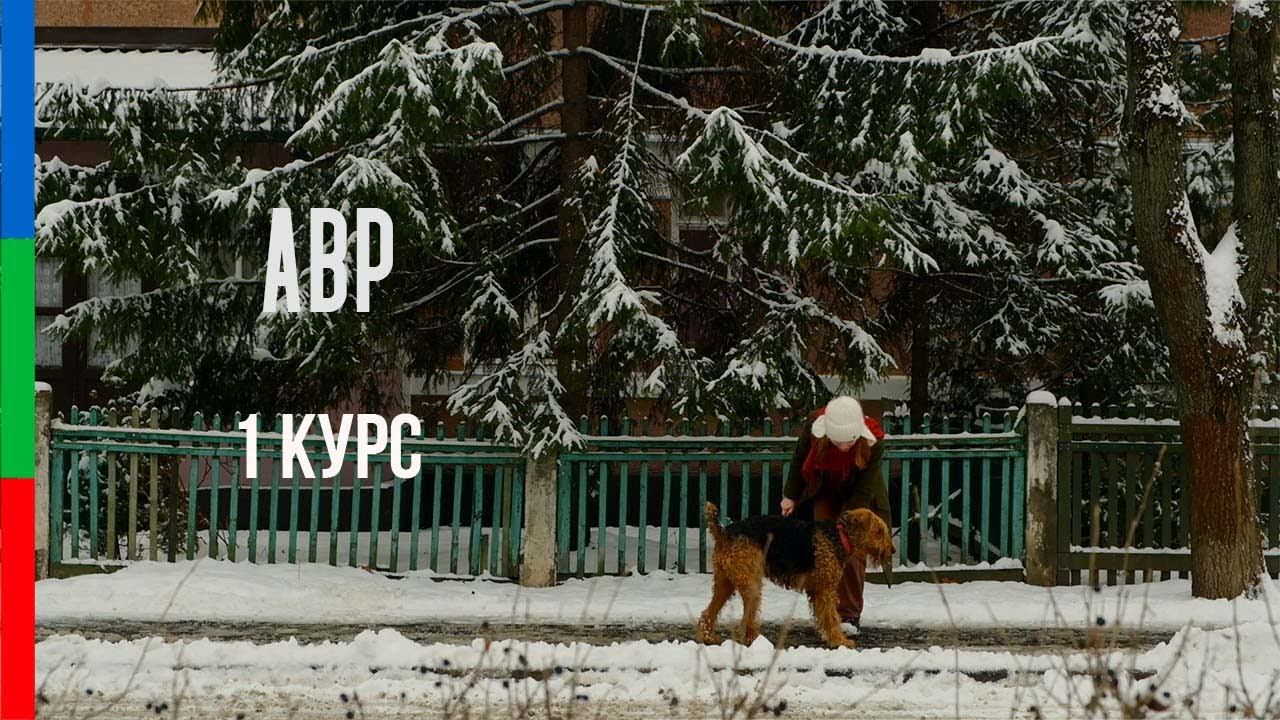 ДО12 Нырковская Дарья АВР Атмосфера