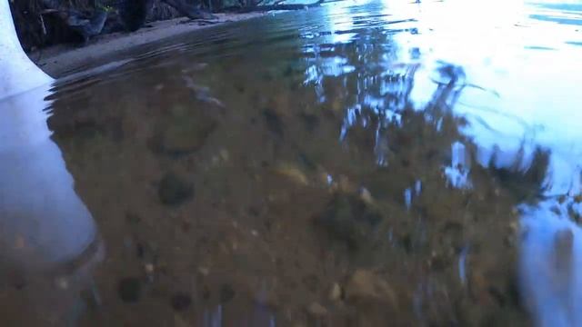 Рыбалка на АТОМНОМ ОЗЕРЕ//Встретил ЧУЖИХ//Креветка РОЗЕНБЕРГА