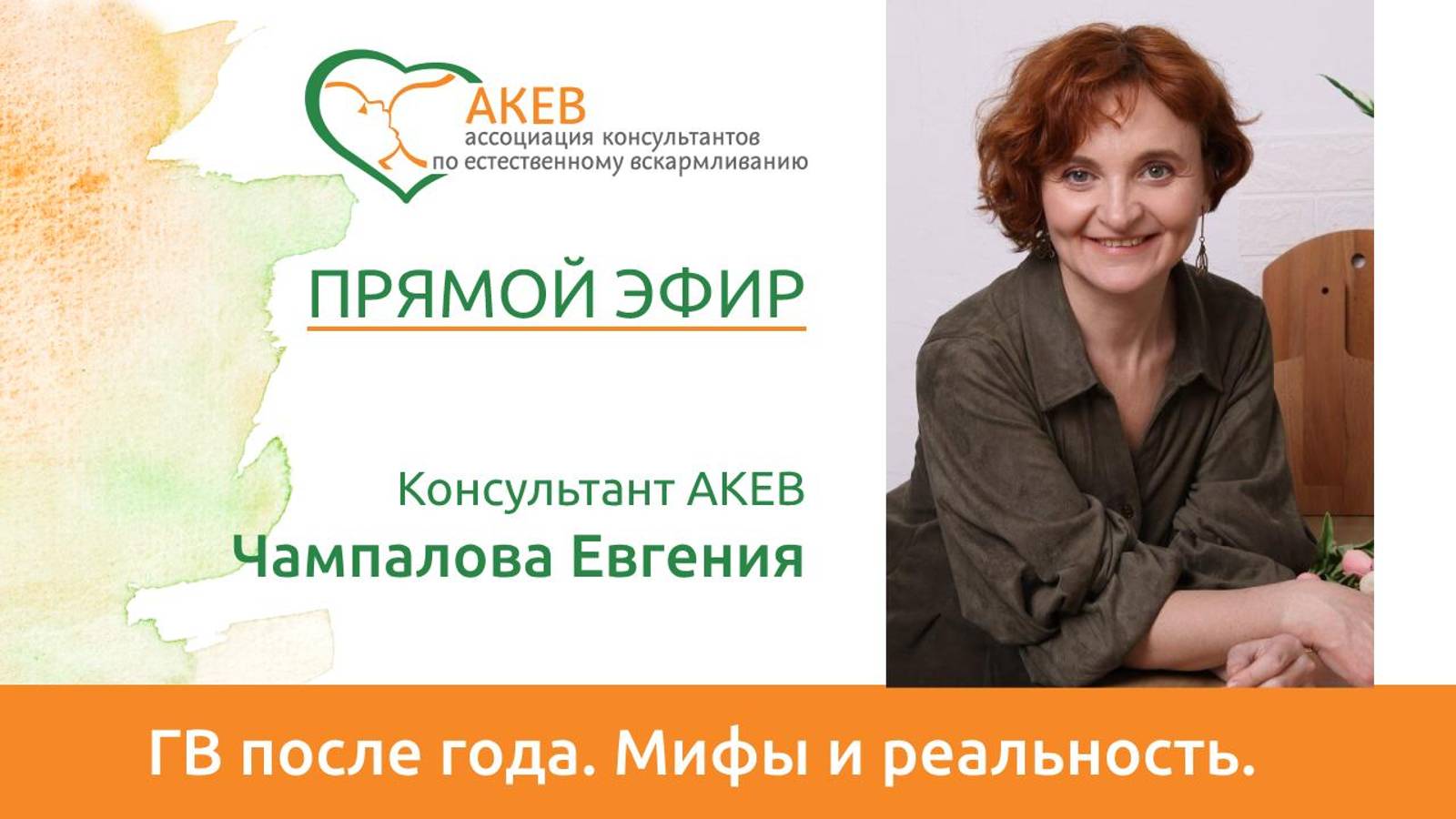 ГВ после года. Мифы и реальность. Чампалова Евгения