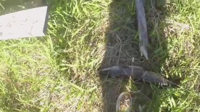 Открытие сезона летней рыбалки.