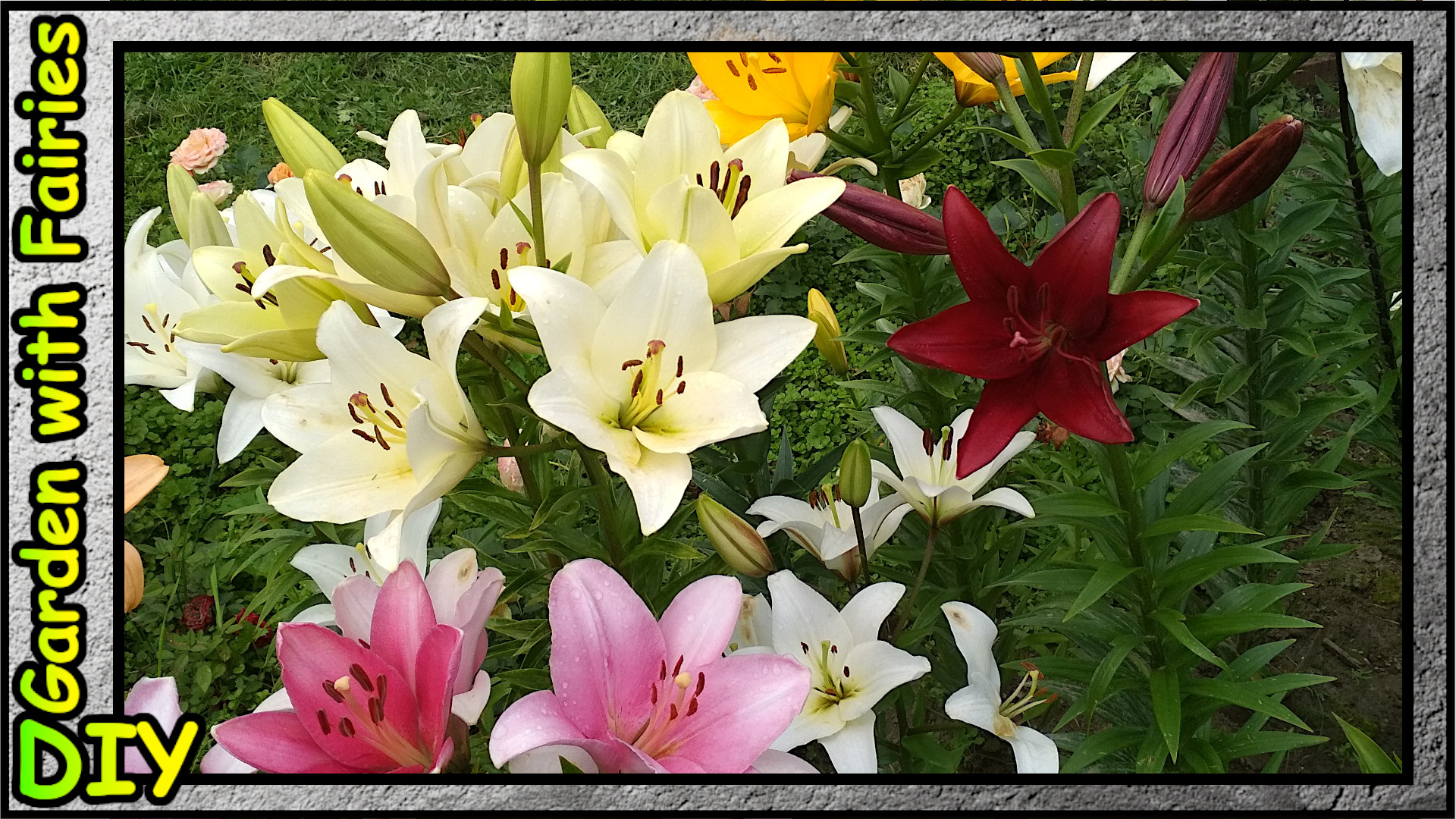 Прогулка по сибирской даче