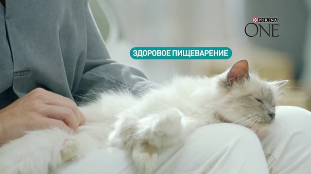 Реклама 05 Purina One (женский голос Луиза Валерьевна Суслова)
