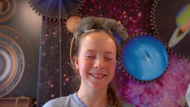 Форт. Начало - Детский день рождения