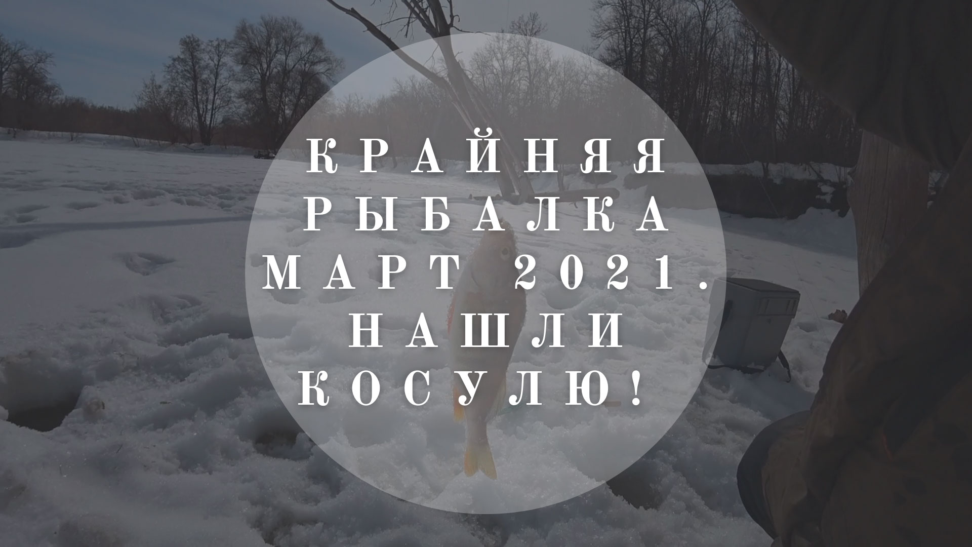 Крайняя рыбалка на снегоходе весной 2021 | Собаки загнали косулю | Блог "В гостях у Владимира"