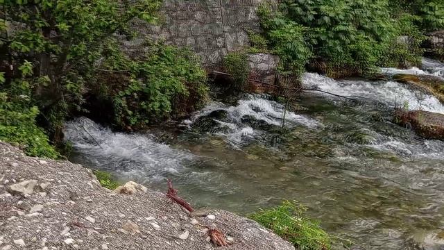 Что посмотреть в Абхазии - самая короткая в мире река Репруа