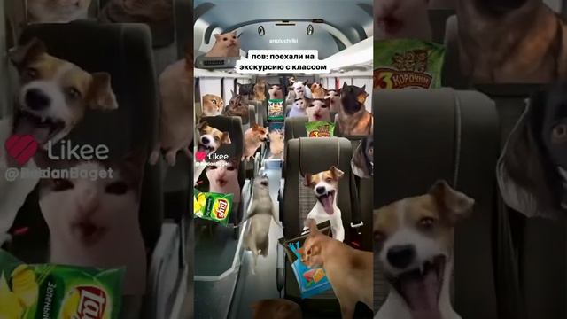 Приятной поездки!