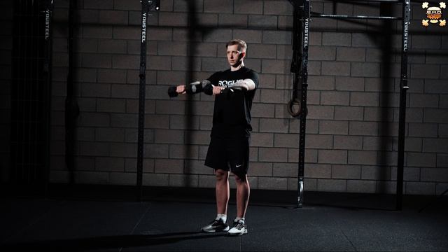 Сгидание плеч с гантелями