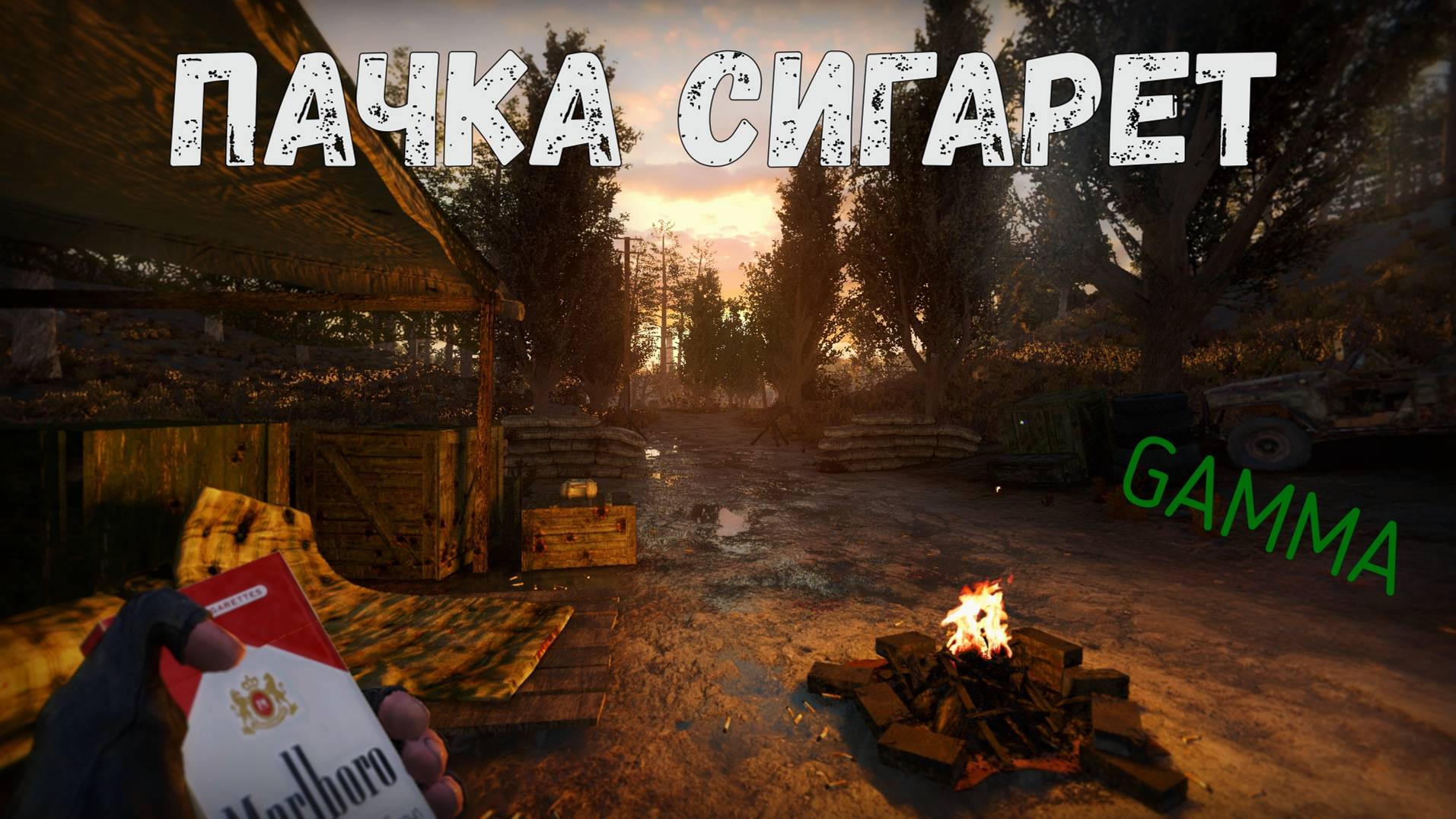 КИНО ПАЧКА СИГАРЕТ STALKER ANOMALY GAMMA (В.ЦОЙ)