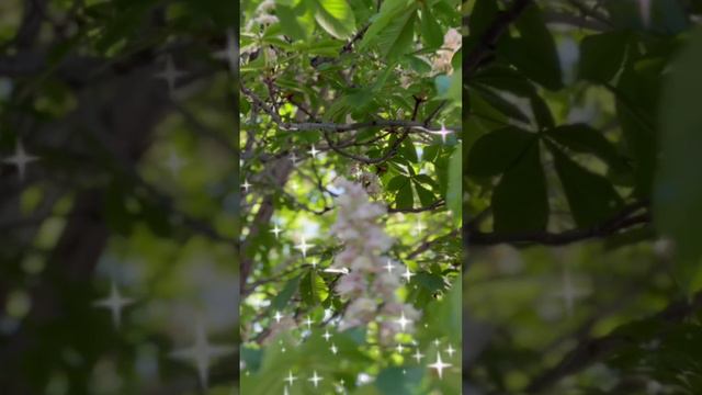 iPhone 13 Pro Max киноэффект