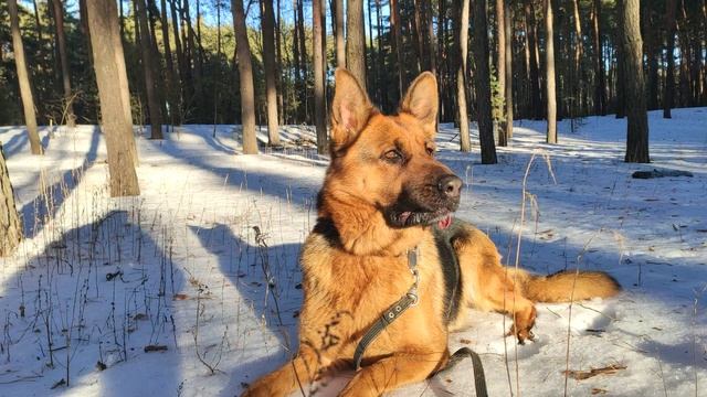 НО - всегда на страже