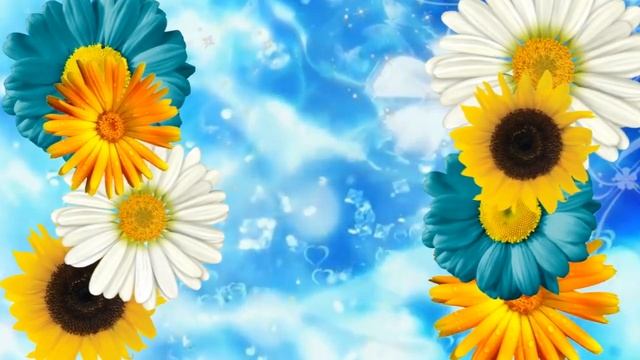 15 самый красивый футаж с 8 марта