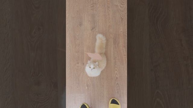 Жизнь пронеслась перед глазами