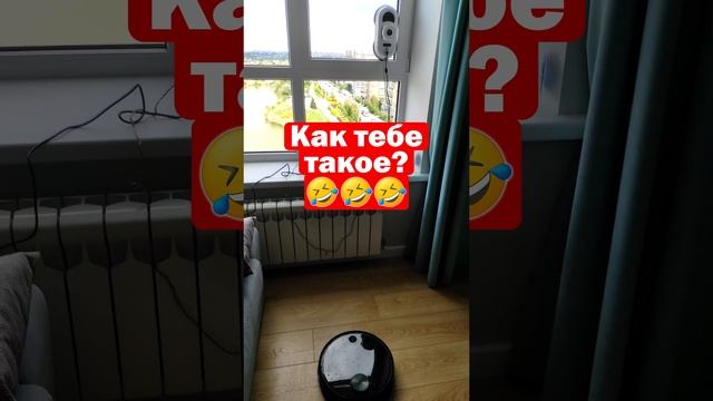 Как тебе такое?