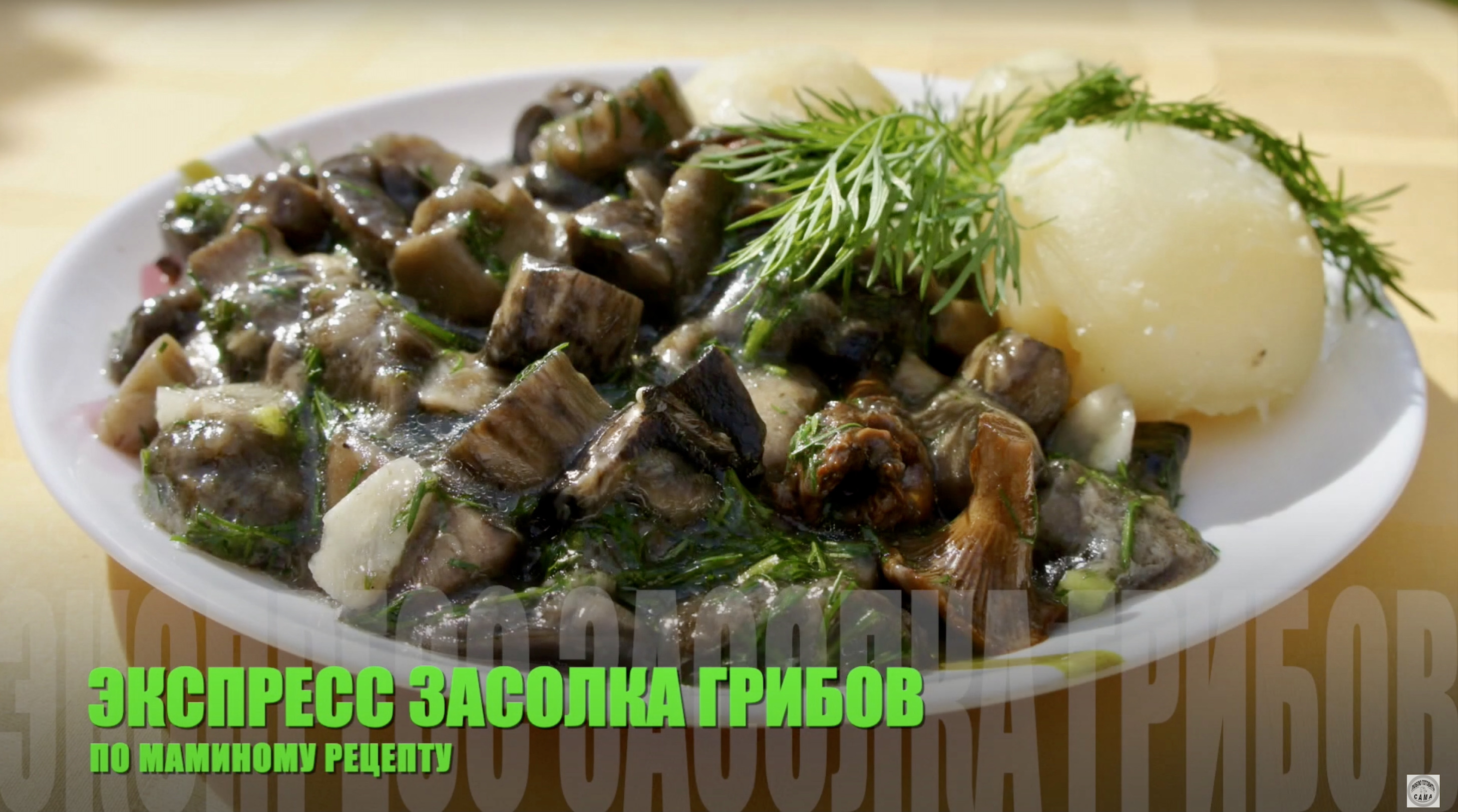 Соленые грибы за 5 минут по  рецепту МАМЫ ?