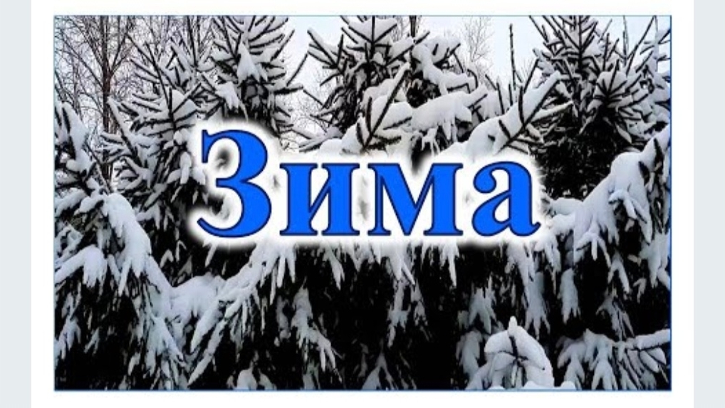 ЗИМА. Александра Миркушова