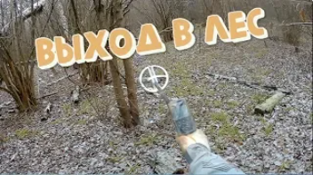 Коп в лесу с металлоискателем XP ORX.Поиск монет