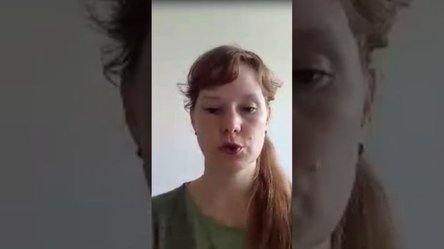 Виды прикорма