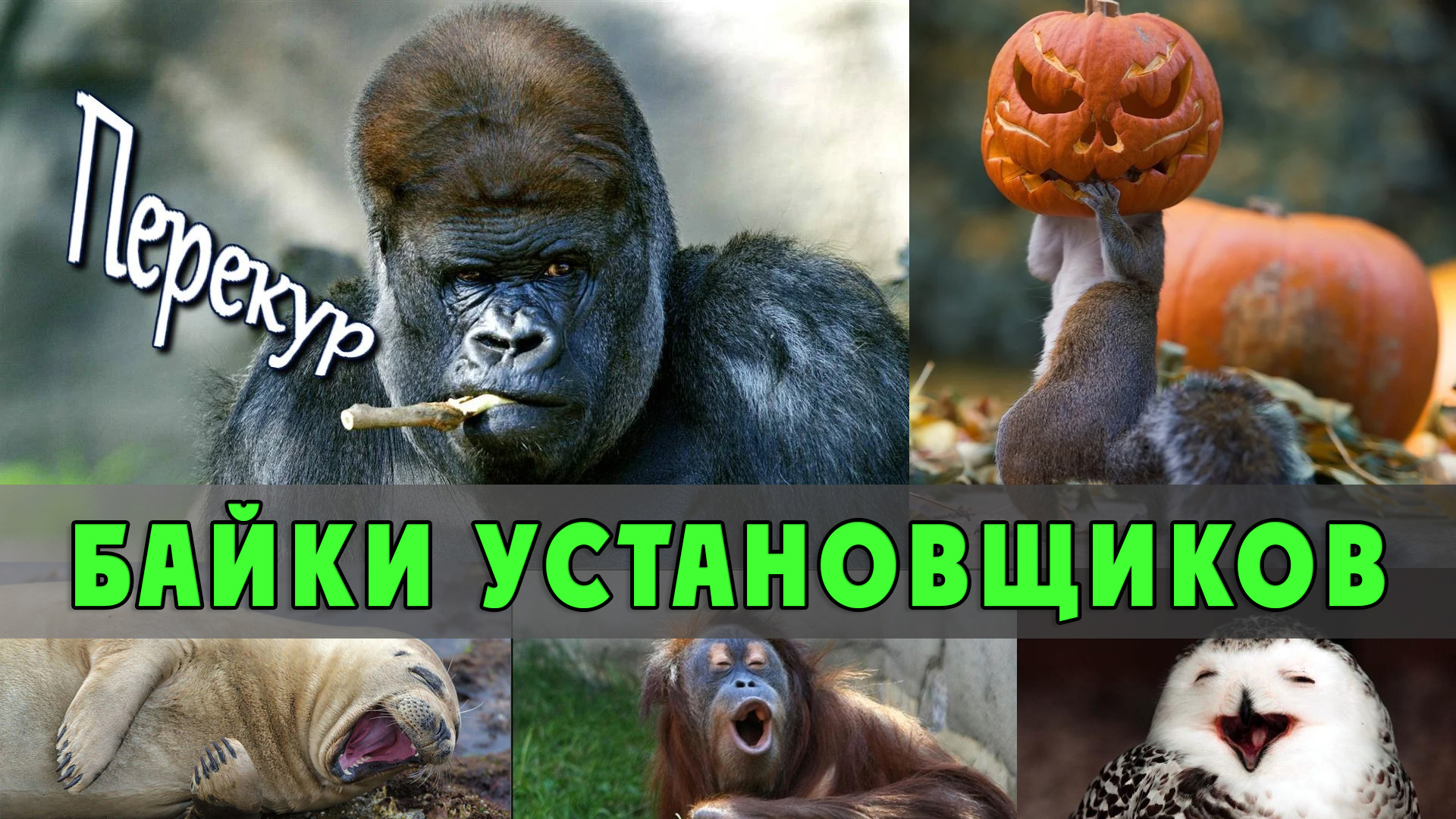 Байки установщиков 2. Монтажники режут правду матку о России