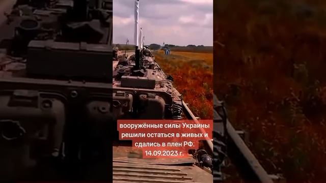 Выбрали жизнь.