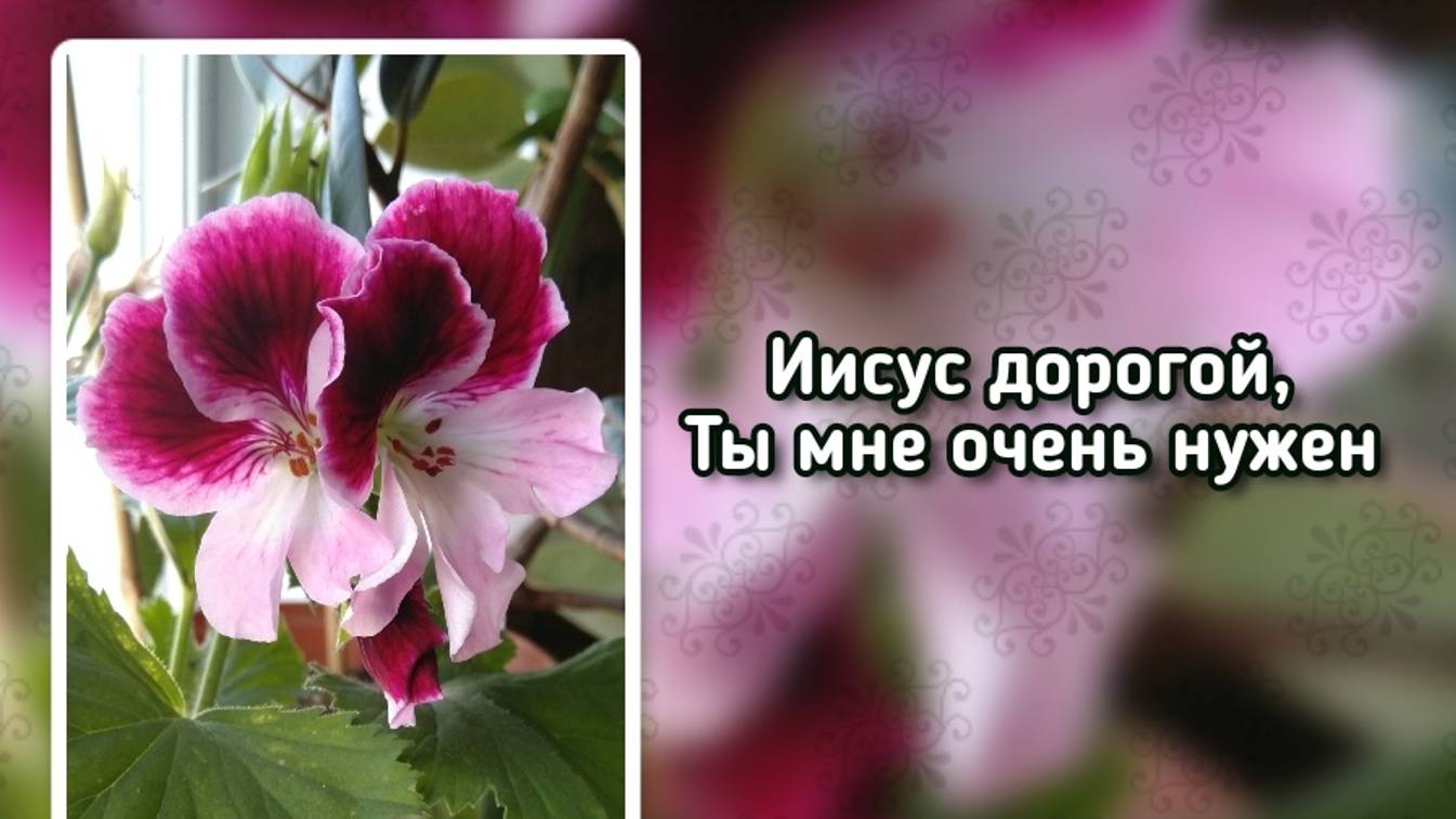 Иисус дорогой,  Ты мне очень нужен... (+)