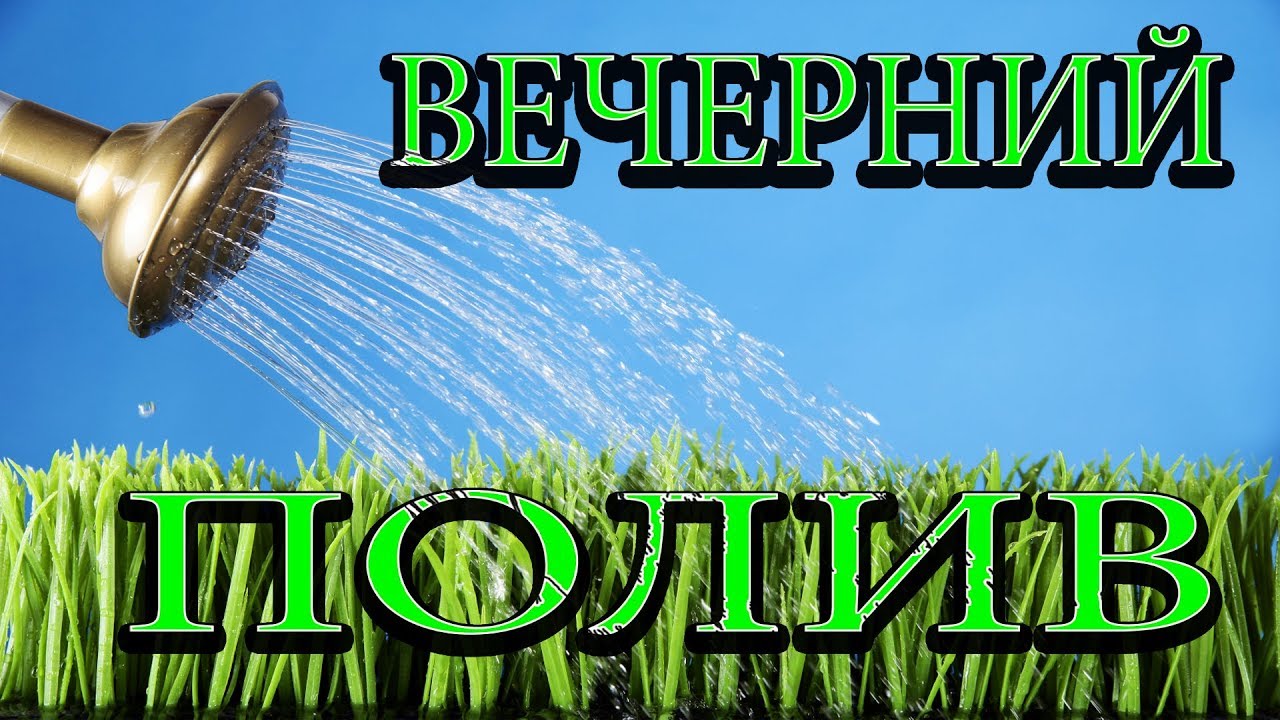 Вечерний Полив