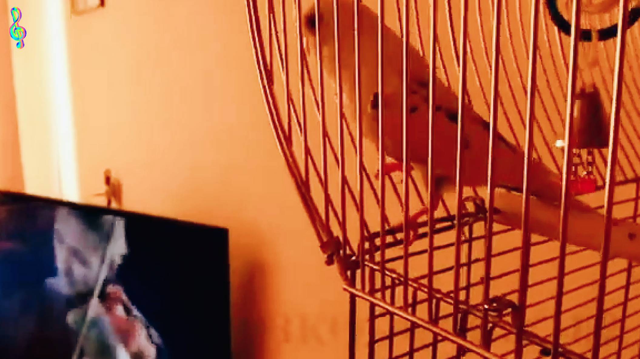 Эмоции зашкаливают! Морозко любит творчество Дэвида Гарретта! Главное, попадает!!!