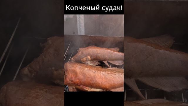 Тот самый момент! Копченый Судак!