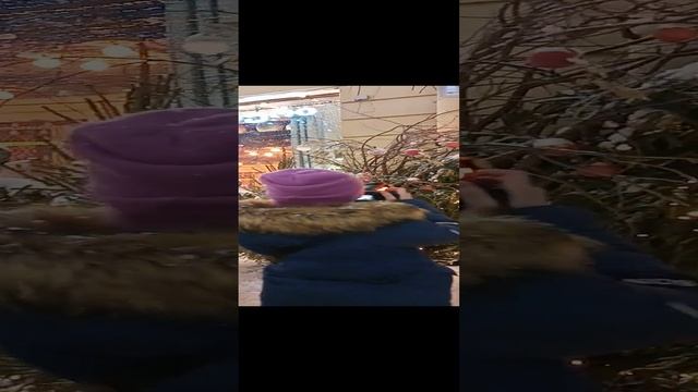 Новый год 2022 Питер , СПБ , 1 день )) )