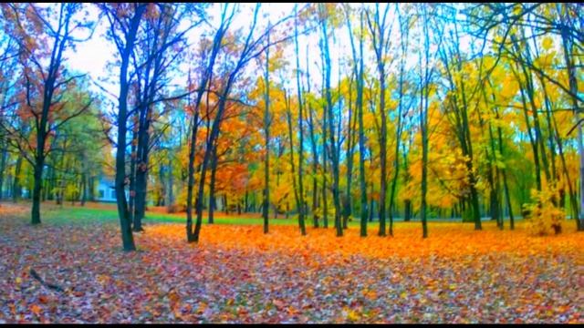 ИМЕНИНЫ ОСЕНИ.mp4