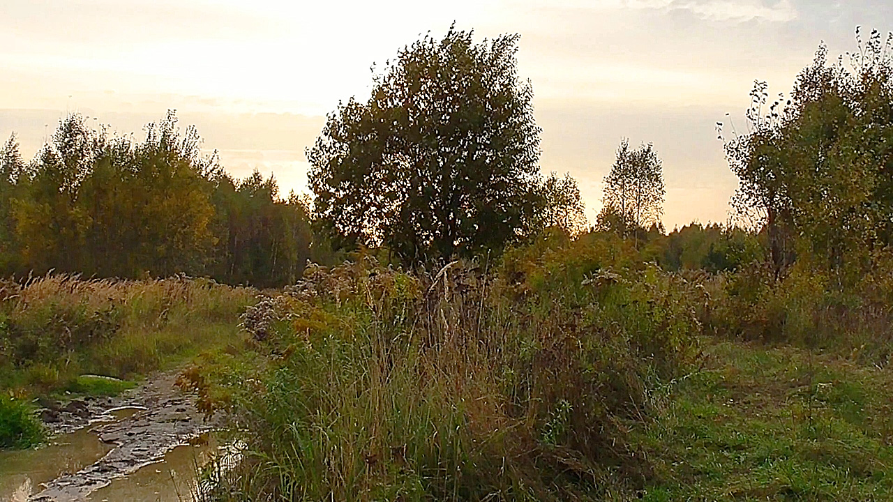 Живописный пейзаж осени. Вечерняя пора. Звуки живой природы. Видео для отдыха.