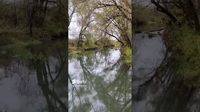 Тишина и благодать! Silence and grace! #villagelife #деревня #village