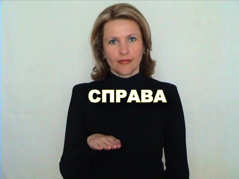 ЖЕСТОВЫЙ ЯЗЫК. СЛОВАРЬ. Справа