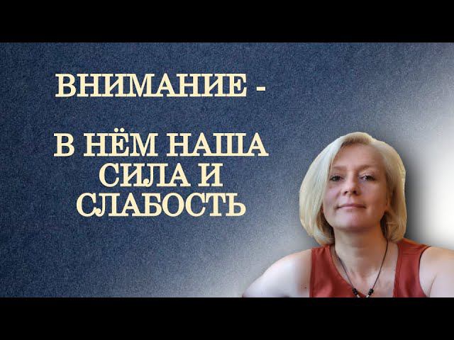 ВНИМАНИЕ - закон развития и разрушения жизни.