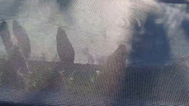 Сушилка для рыбы. Как вялить, чтобы мух не было:) [mUkkJkgos3Y].mp4