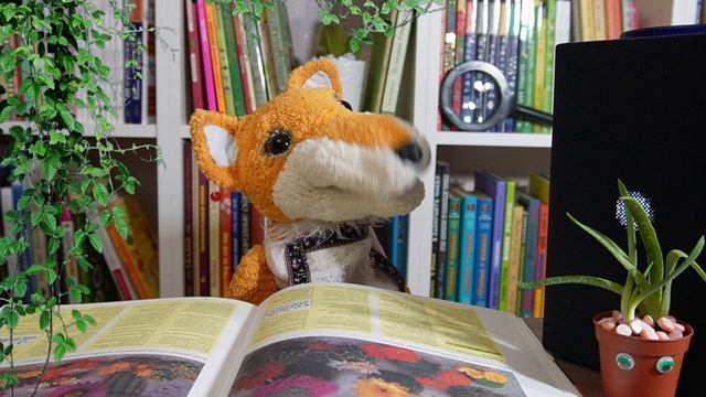 Выпуск №6 «Как растения дышат?»