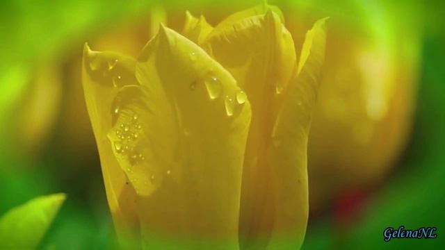 Праздник весны