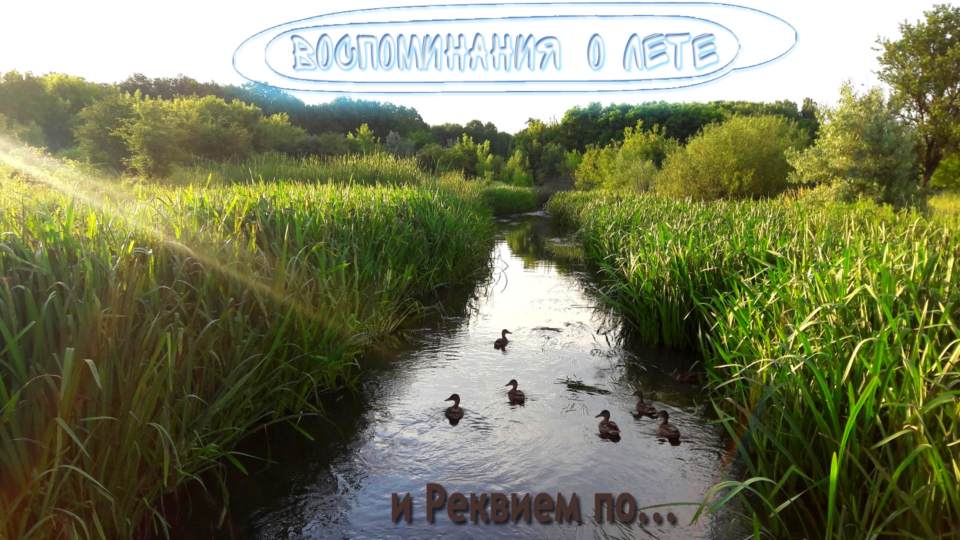 Микро река... Микро джиг... Не микро трагедия....