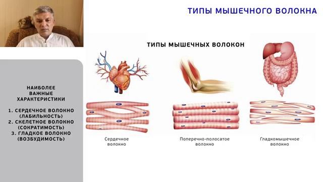 Физиология мышечного сокращения.mp4