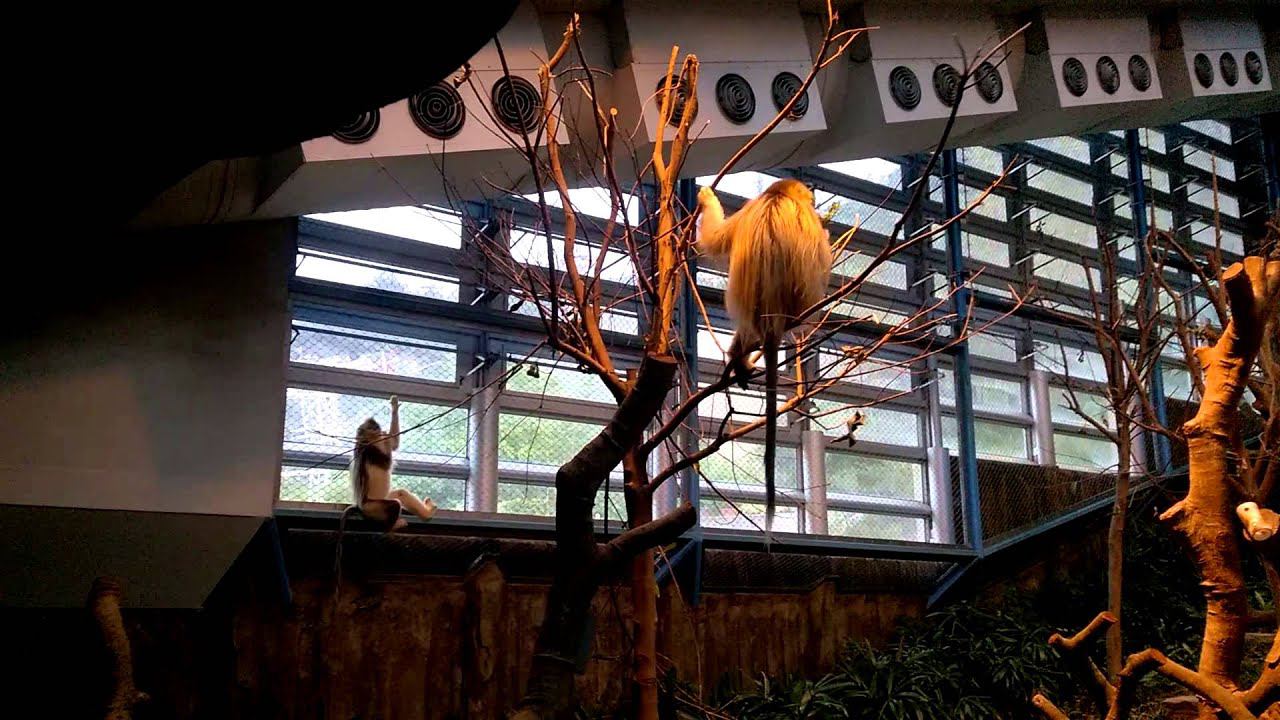 7. Гонконг 2015. Ocean Park