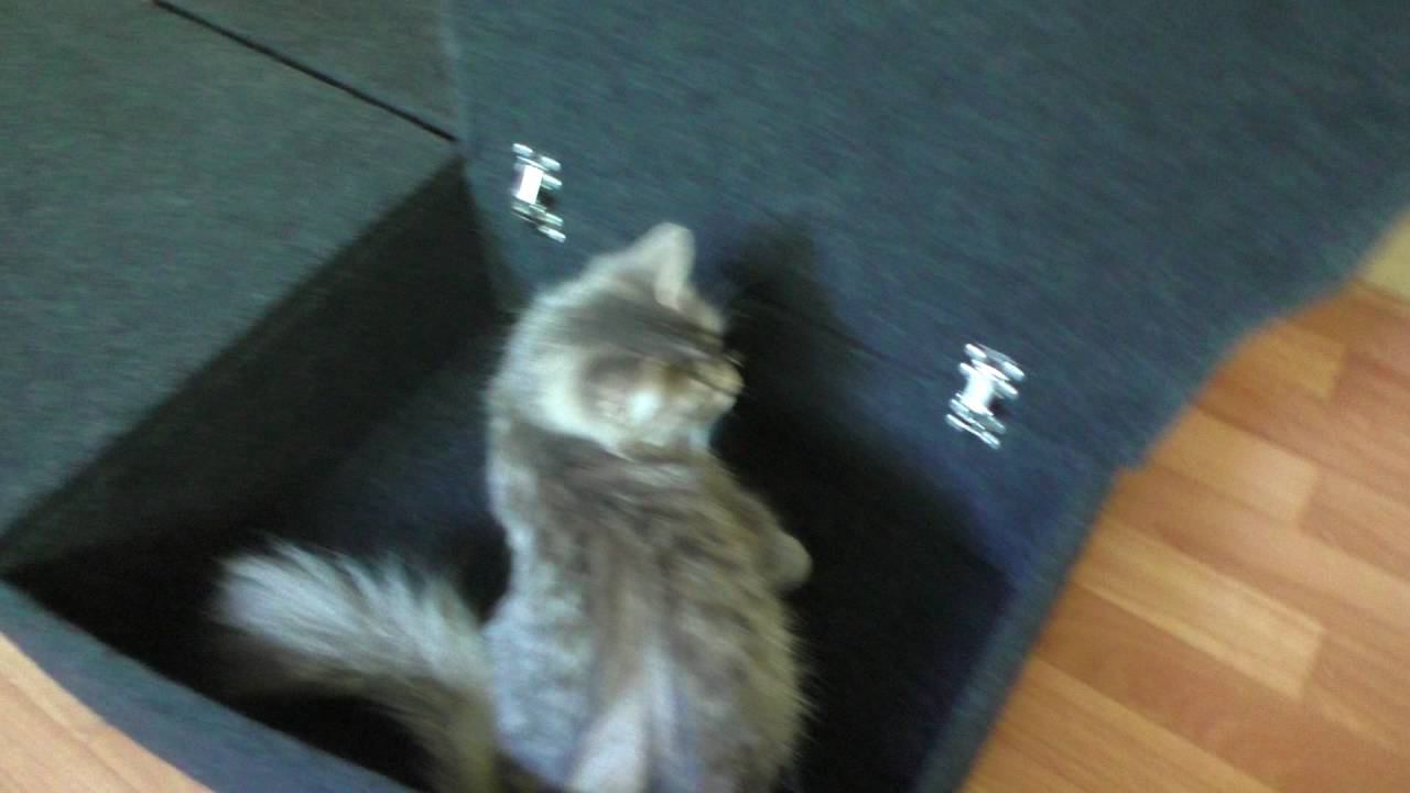 Обзор Двухсоставного второго пола с боксами в Chevrolet Niva