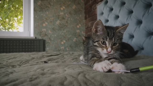 Дорога домой. АФОНЯ