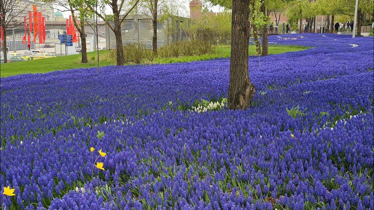 Москва. Парк "Зарядье".