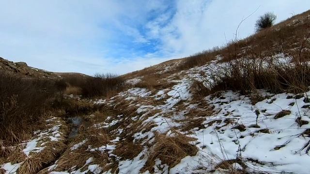 VR360. Природный заказник «Староласпинский». «Балка Буравова»