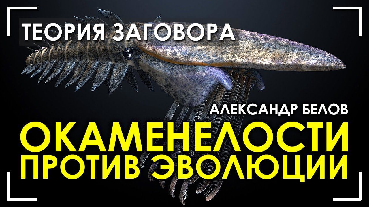 Окаменелости против эволюции. Александр Белов