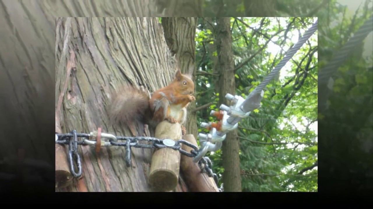 Сочи слайд-шоу