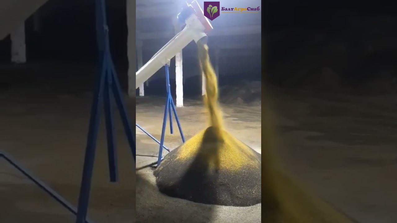 Поставка и запуск дробилки рапса #Romill в Тюменский район #БалтАгроСнаб #сельхозтехника