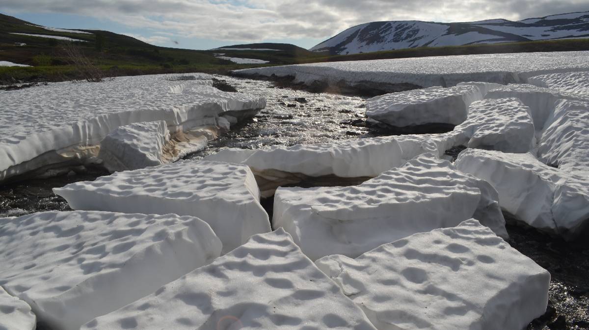 Снег (Тихо по веткам шуршит снегопад)