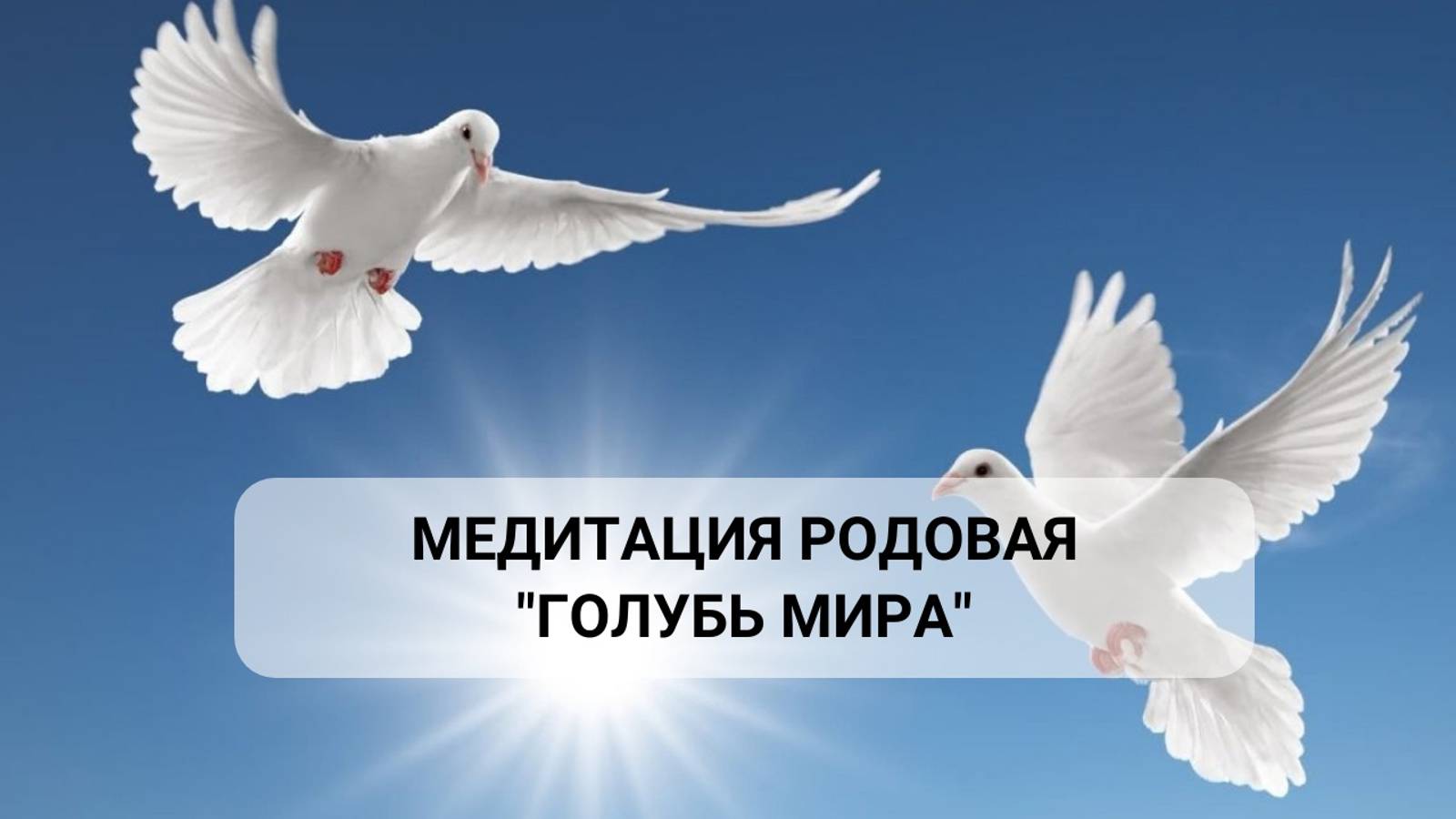 Медитация родовая "Голубь Мира"