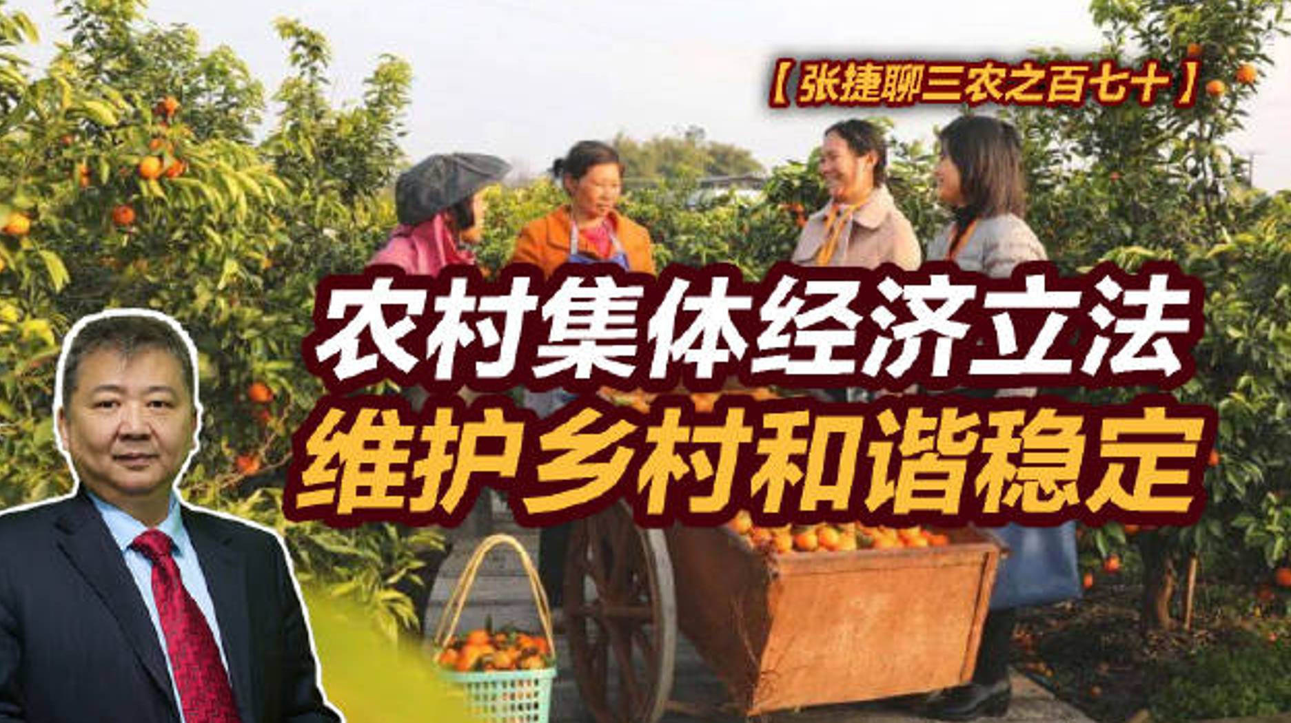 【张捷聊三农之百七十】农村集体经济立法，维护乡村和谐稳定（评三农公知温铁军）