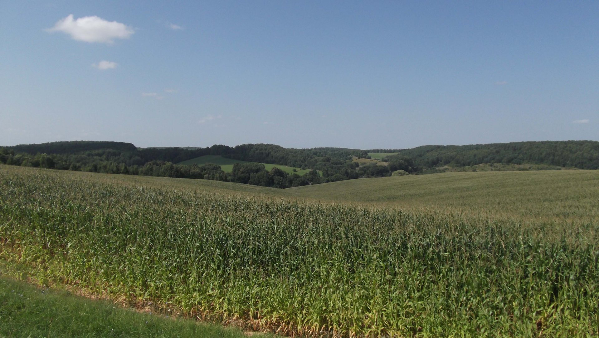 Велопутешествие по Беларуси. Часть 7-я